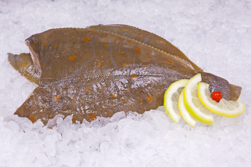 Verse schol kopen | MSC duurzaam gevangen | Visspeciaalzaak Aan de Kant